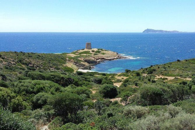 Cagliari: Full-Day Private Tour of Sardinia's Hidden Beaches from Chia - What’s the Value?