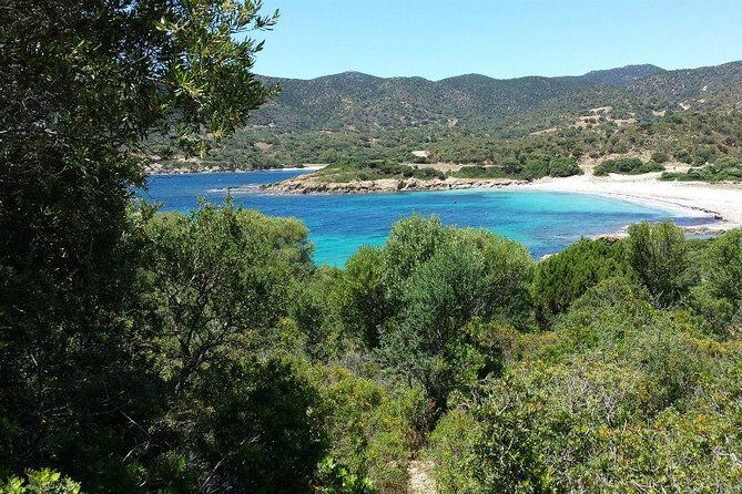 Cagliari: Full-Day Private Tour of Sardinia's Hidden Beaches from Chia - Frequently Asked Questions