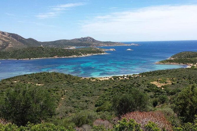 Cagliari: Full-Day Private Tour of Sardinia's Hidden Beaches from Chia - Final Words