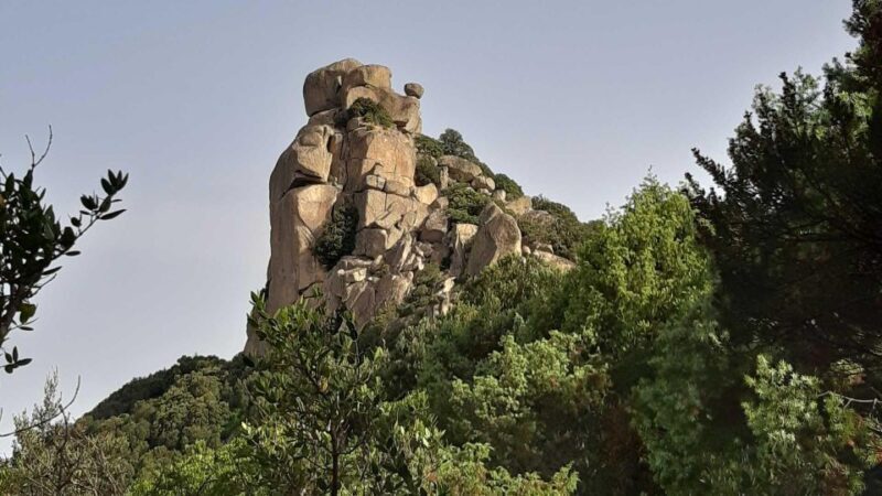 Cagliari: hiking on the deers' trail in Sette Fratelli Park - Key Points