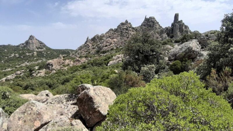 Cagliari: hiking on the deers' trail in Sette Fratelli Park - Who Will Love This Experience?