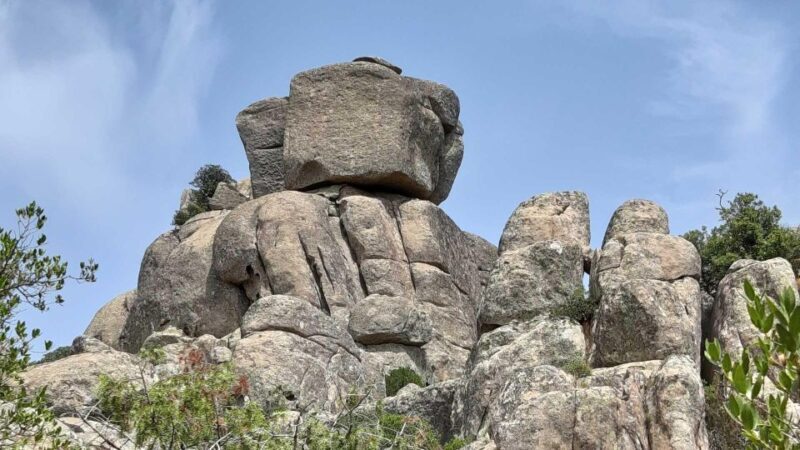 Cagliari: hiking on the deers' trail in Sette Fratelli Park - Frequently Asked Questions