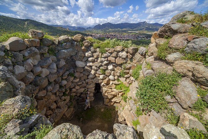 Cagliari: Is Cannoneris Nature Reserve Jeep and Walking Private Tour from Chia - FAQ: Practical Questions About the Is Cannoneris Tour