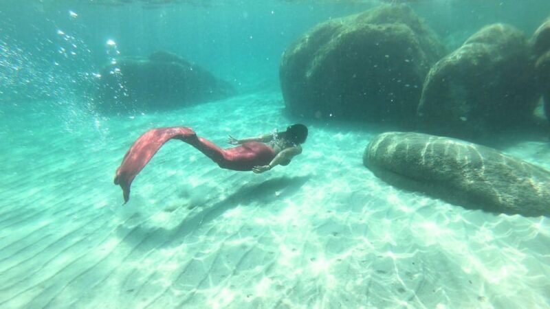 Cagliari: Mermaid experience - Who Will Love This Experience?