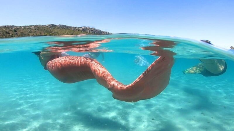 Cagliari: Mermaid experience - FAQ
