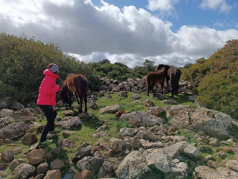 Cagliari: Nuraghe Barumini and Giara Park with Wine Tasting - The Sum Up