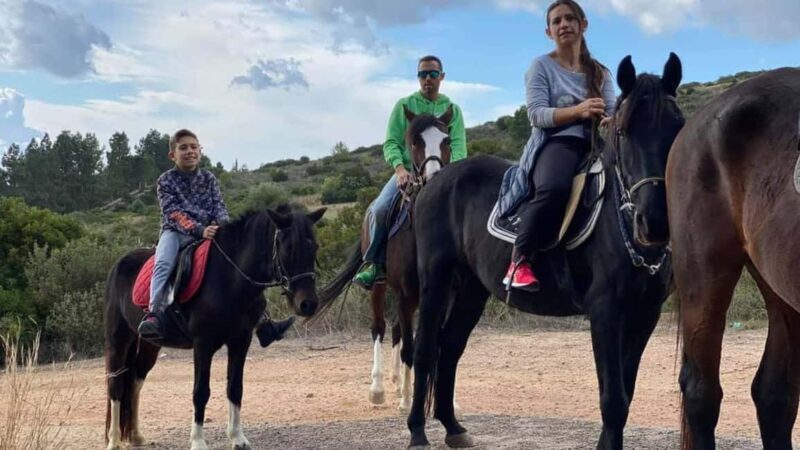 Cagliari: panoramic horseback riding - A Detailed Look at the Horseback Riding Tour