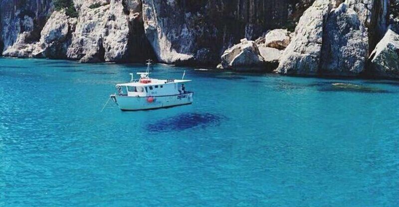 Cagliari: Private or Small Group Fishing Trip Experience - Key Points