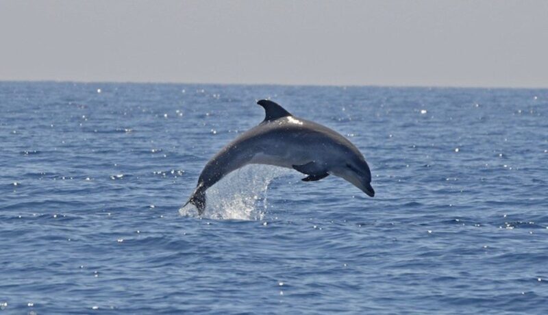 Cagliari: Private or Small Group Fishing Trip Experience - Final Thoughts