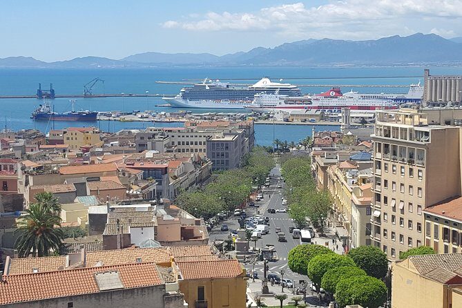Cagliari Private Shore Excursion: Hop-on Hop-off City Experience - Key Points