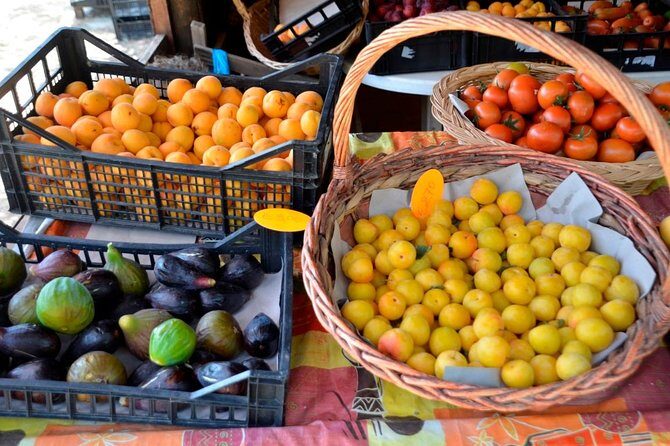 Cagliari Private Shore Excursion: Hop-on Hop-off City Experience - Who Should Book This Tour?