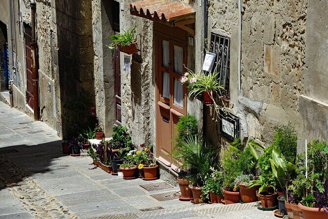 Cagliari Private Walking Tour With A Professional Guide - Exploring Cagliari with a Private Guide