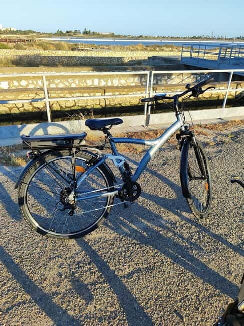 Cagliari: Rent an e-bike and enjoy! - The Experience at Molentargius Park and Poetto Beach