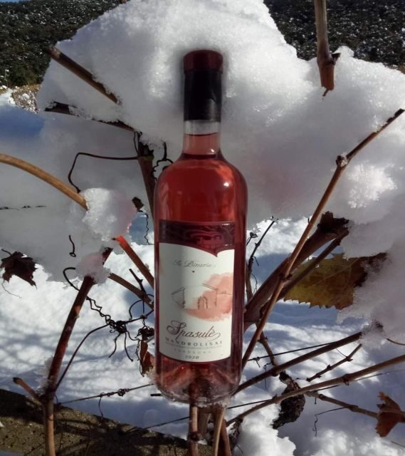 Cagliari: Sardinia... en rose! The best local rosè wines - FAQs