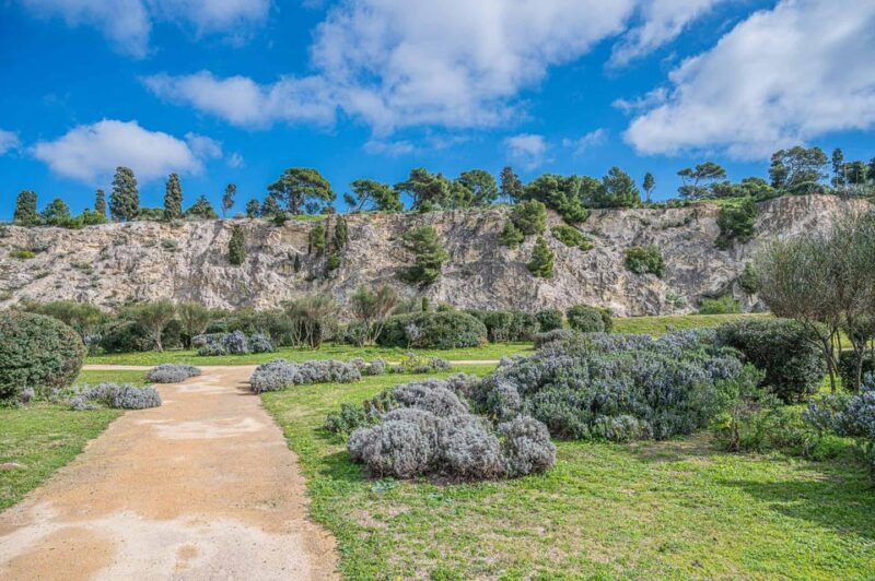 Cagliari Tour: Tuvixeddu Necropolis archeological park - The Sum Up: Is This Tour Worth It?