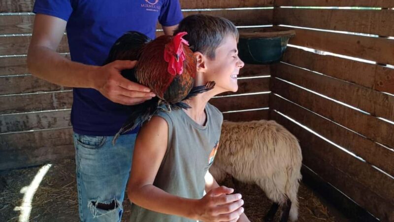 Cagliari: visit the animals of a farm - Discovering the Farm Experience Near Cagliari