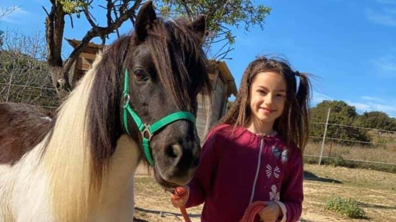 Cagliari: visit the animals of a farm - Who Would Love This Tour?