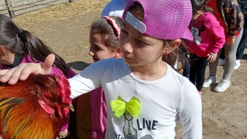 Cagliari: visit the animals of a farm - FAQ