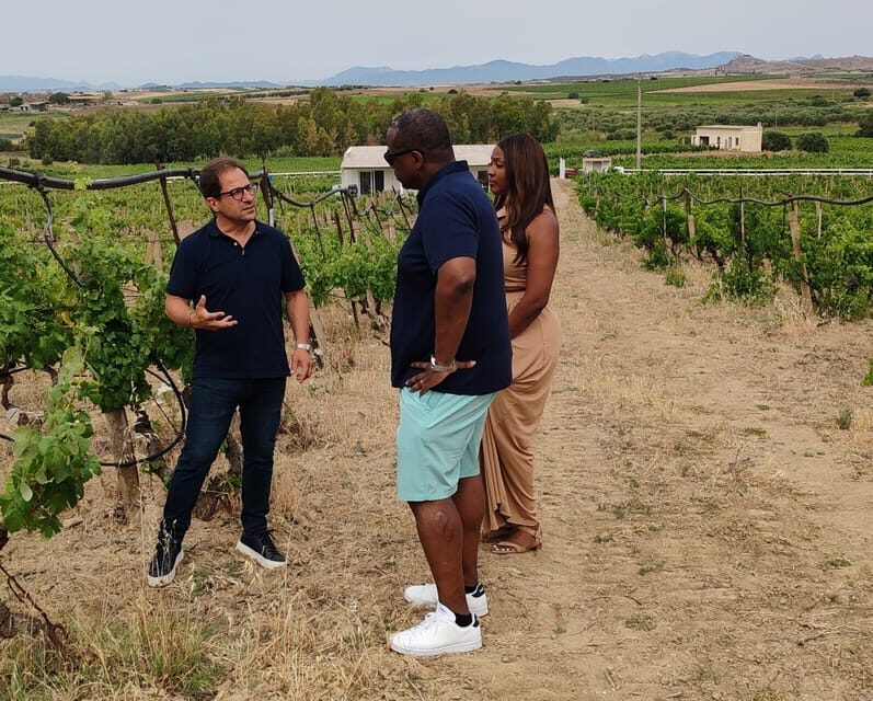 Cagliari: Wine and Olive oil Experience + Oil Mill Museum - Visiting the Oil Museum