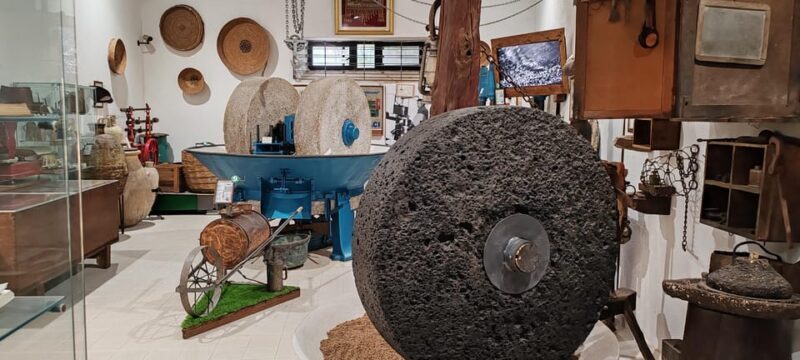 Cagliari: Wine and Olive oil Experience + Oil Mill Museum - Final Thoughts