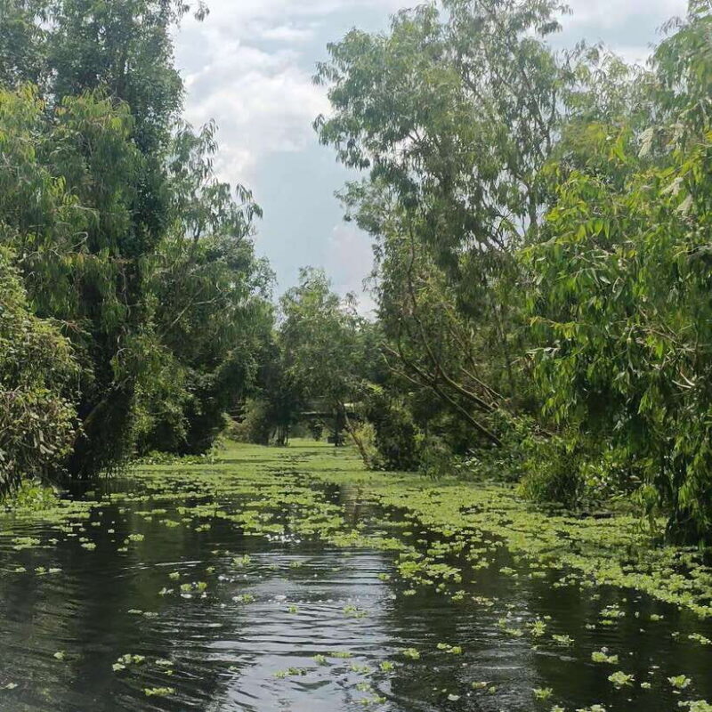 Cai rang floating market and Lung Ngoc Hoang Nature Reserve - FAQ