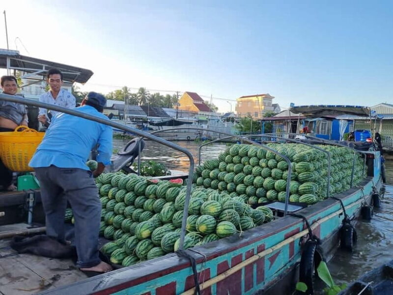 Cai Rang Floating Market and Mekong Delta from Saigon - Return Journey and Reflection