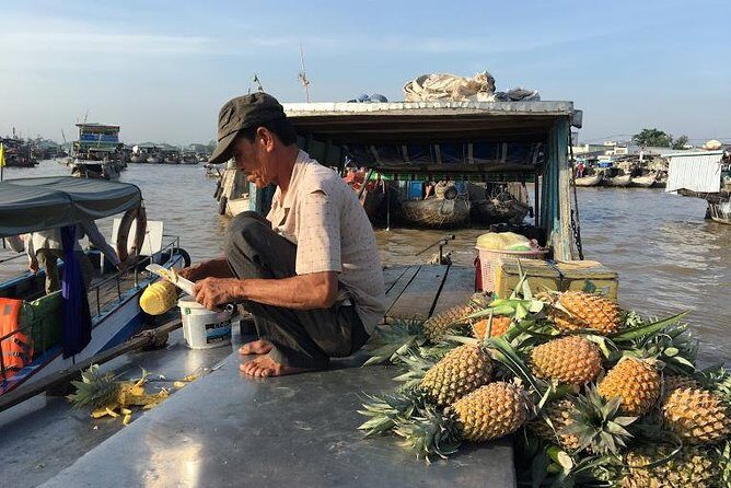 Cai Rang floating market and Mekong Delta Private Tour from HCMC - Key Points