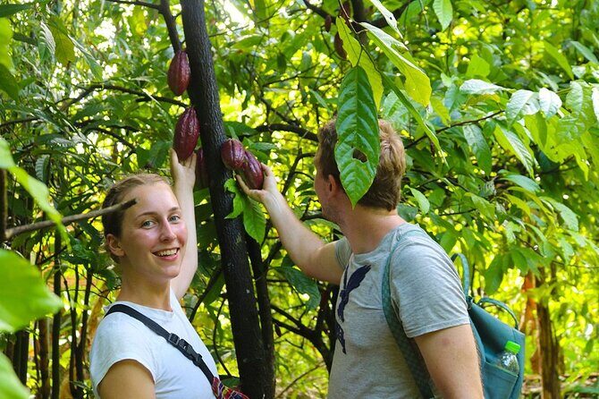 Cai Rang floating market, Cacao & hidden small canal - FAQs