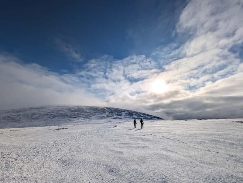 Cairngorms: Guided Winter Hiking Adventure - Key Points
