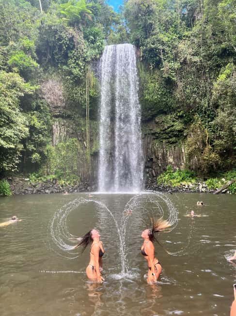 Cairns: 2-Day Atherton Tablelands & Cape Tribulation Tour - Authentic Encounters and Real Reviews