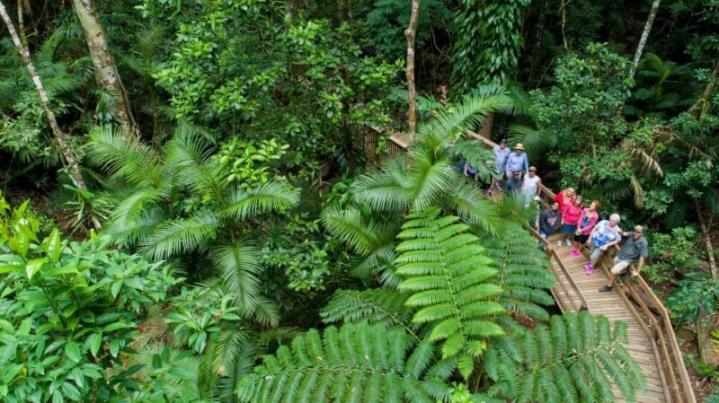 Cairns: 2-Day Great Barrier Reef & Daintree Rainforest Tour - An In-Depth Look at the Tour Experience