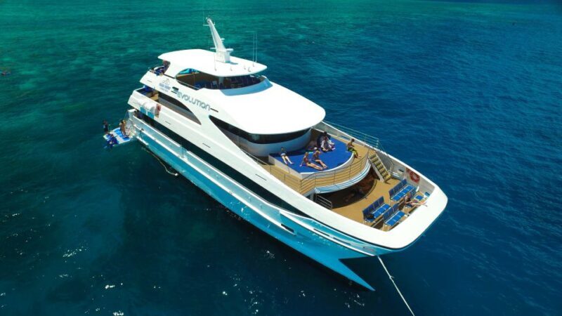 Cairns: 2-Day Great Barrier Reef & Daintree Rainforest Tour - Additional Information