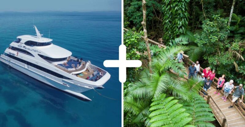 Cairns: 2-Day Great Barrier Reef & Daintree Rainforest Tour - Who Will Love This Tour?