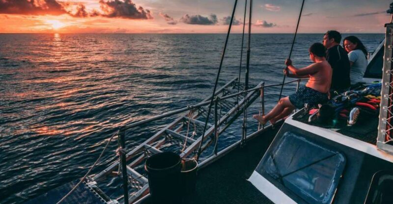 Cairns: 2-Day Great Barrier Reef Dive and Snorkel Boat Trip - An In-Depth Look at the Coral Sea Dreaming Experience