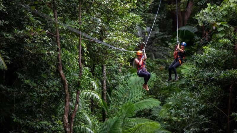 Cairns : 2 Days Daintree & Reef Experience - FAQs