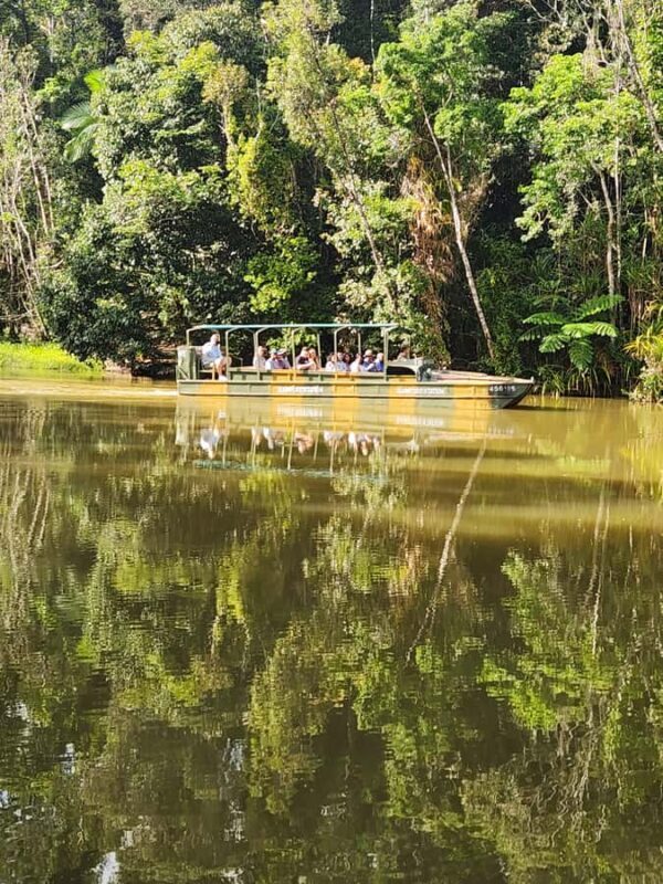 Cairns: 3 days - Daintree, Kuranda, Reef, Accommodation - What to Expect from Your Cairns 3-Day Tour