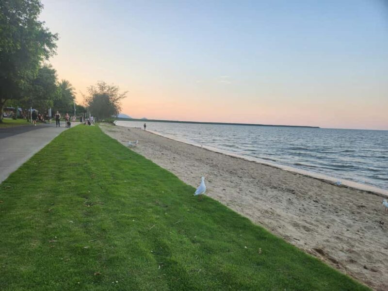 Cairns: 3 days - Daintree, Kuranda, Reef, Accommodation - The Practical Side of the Tour