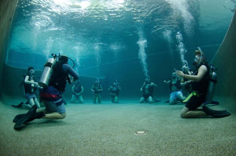 Cairns: 4-Day PADI Open Water Course - Key Points