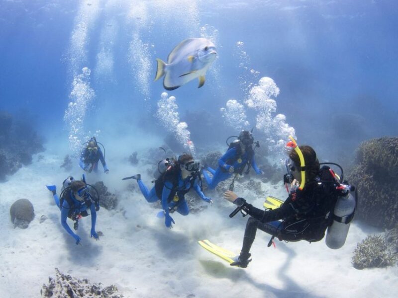 Cairns: 4-Day PADI Open Water Course - Detailed Review of the Cairns 4-Day PADI Open Water Course