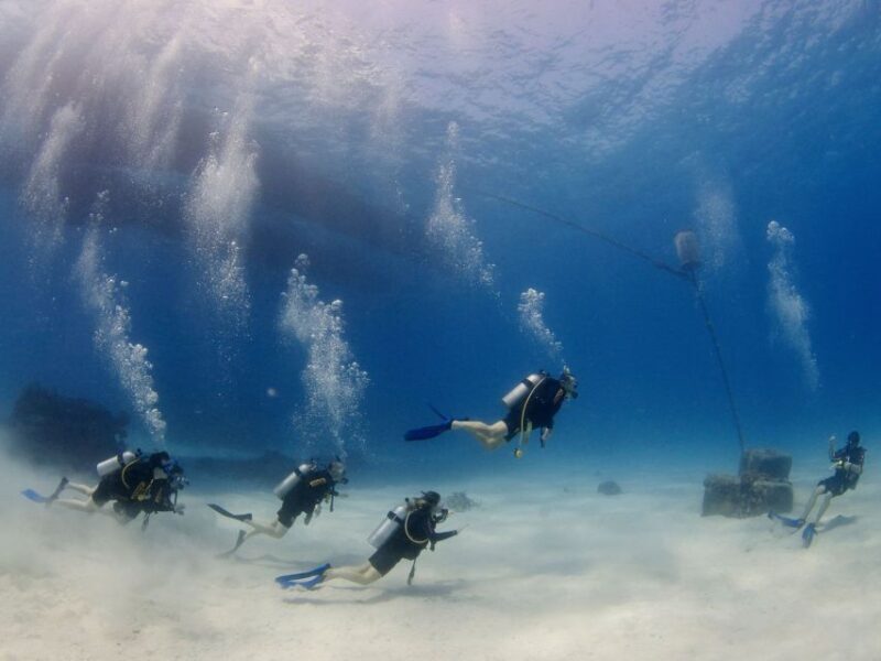 Cairns: 4-Day PADI Open Water Course - FAQ
