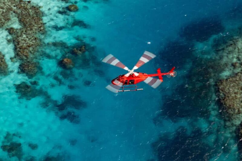 Cairns: 60 minute Scenic Flight Over the Reef & Rainforest - Key Points