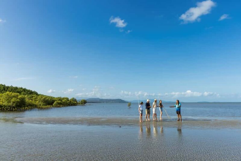 Cairns: Aboriginal Coastal Adventure & Mossman Gorge Tour - What Makes This Tour Stand Out?