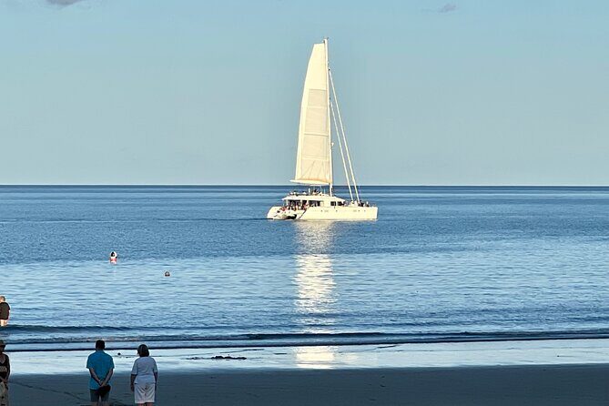 Cairns Airport to Port Douglas Shared Shuttle - Why Choose the Cairns Airport to Port Douglas Shared Shuttle?