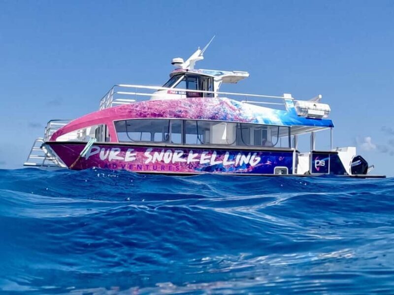 Cairns: All-Inclusive Great Barrier Reef Half-Day Snorkeling - The Itinerary and What to Expect