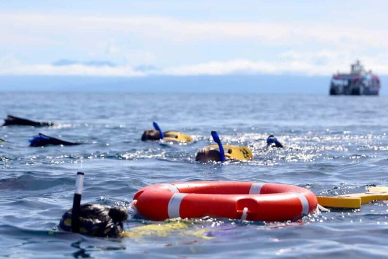 Cairns: All-Inclusive Great Barrier Reef Half-Day Snorkeling - Pricing and Value