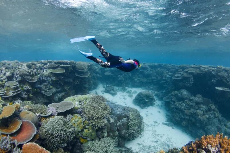 Cairns: All-Inclusive Great Barrier Reef Half-Day Snorkeling - FAQ