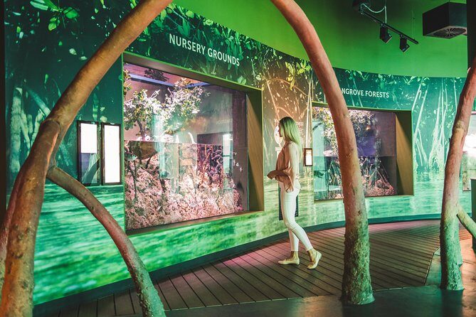 Cairns Aquarium Admission Ticket - The Detailed Itinerary and Why It Matters