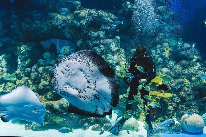 Cairns Aquarium Admission Ticket - Practical Tips for Visiting Cairns Aquarium