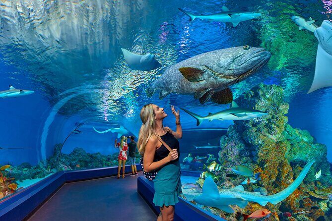 Cairns Aquarium and small group City Sightseeing Tour - Key Points