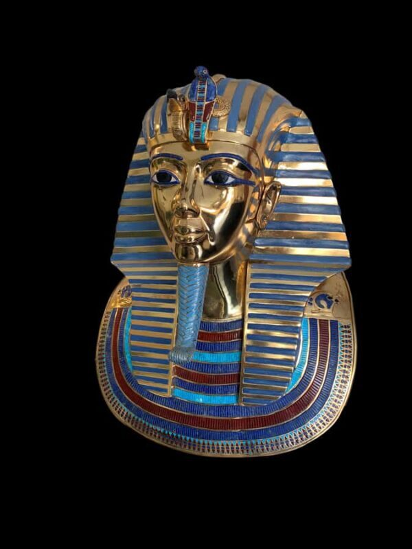 Cairns: Aquarium and Tomb of the Pharaohs Entry Ticket - Frequently Asked Questions